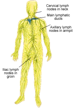 Lymphatic Assist Bath, Holistic Bathing Therapy, Bath Salts Recipes